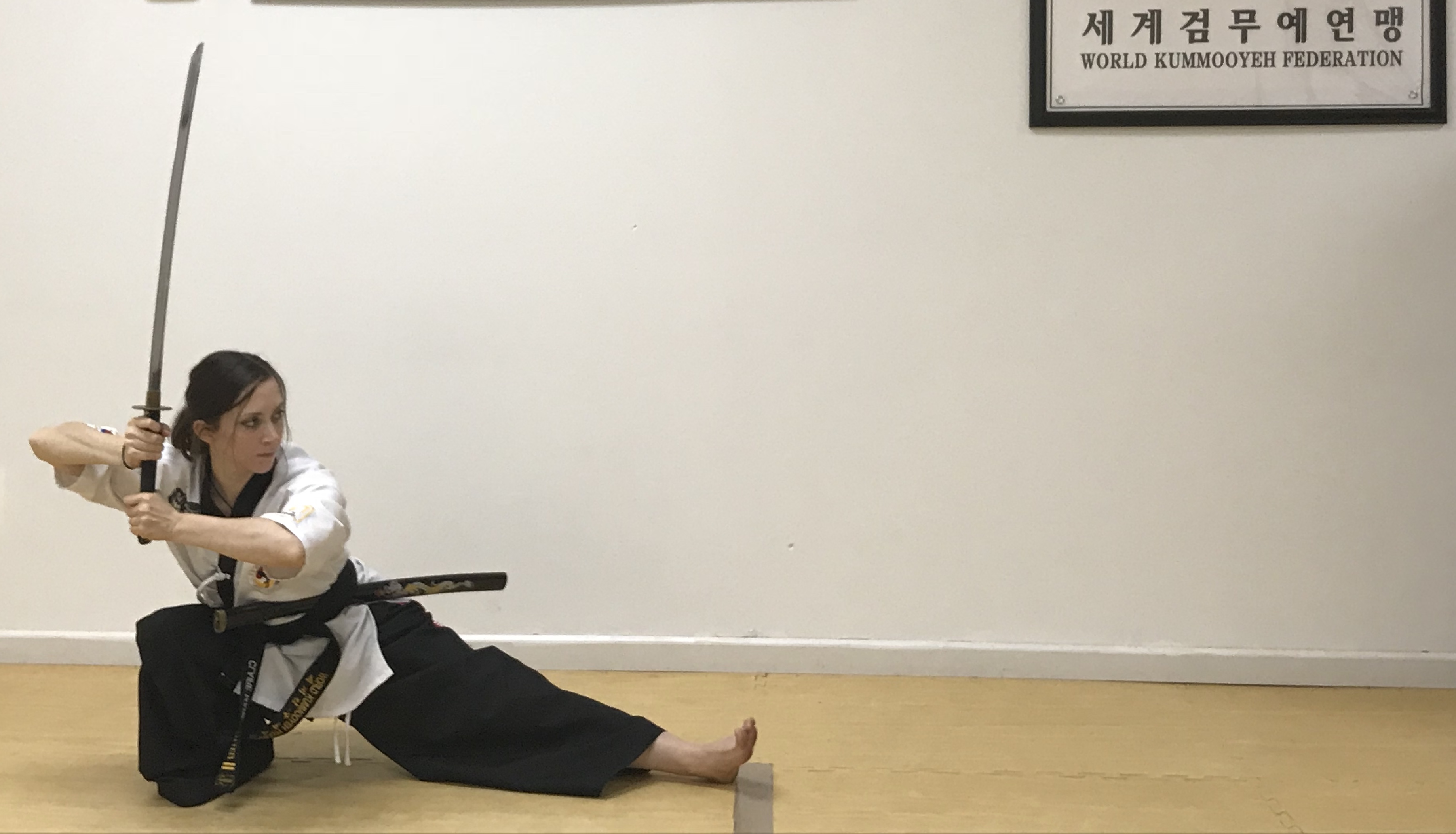 ccfc61fa-1f19-4039-94c5-055c34833fe4 – Estrada Martial Arts Academy